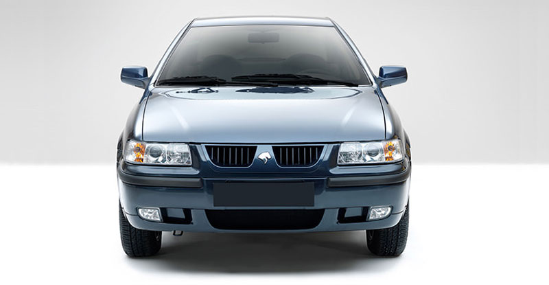 معرفی 7 انواع سمند در بازار ایران